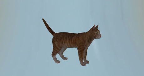 Second Life Marketplace - Static Mesh Cat 2