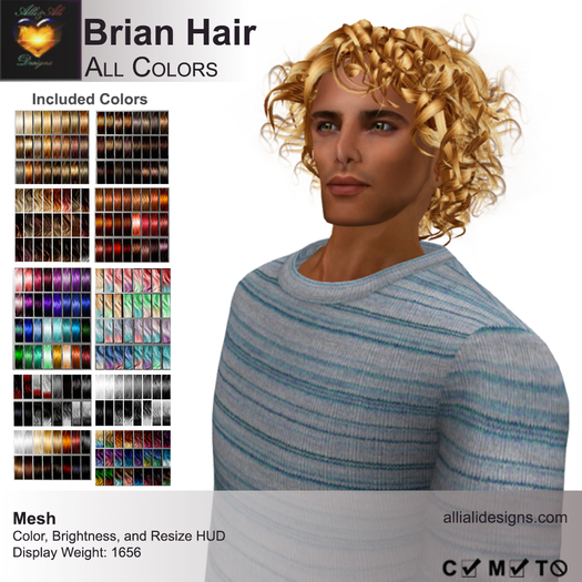 Second Life Marketplace - A&A Brian Hair Mesh All Colors Pack. Mens ...