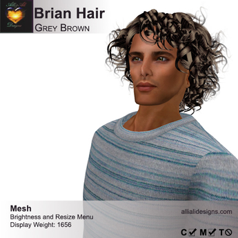 Second Life Marketplace - A&A Brian Hair Mesh Grey Brown (FUNCTIONAL ...