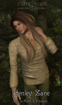 Second Life Marketplace - *pm* Zane: Henley Top/Collector
