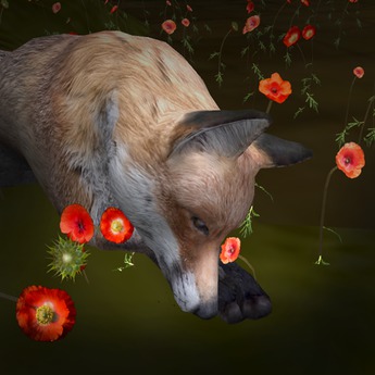 Second Life Marketplace - Bad Katz Laying Fox