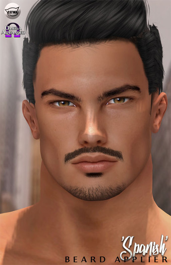 Second Life Marketplace - *Birth* 'Spanish' Beard Applier DEMO