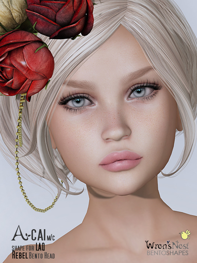Second Life Marketplace - { wren's nest } ACAI Shape (LAQ Rebel Bento Head)