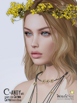 Second Life Marketplace - { wren's nest } Candy Shape for Catwa Catya ...