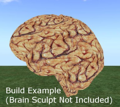 Second Life Marketplace - Sanna Brain Surface Seamless Not Animated SET MP