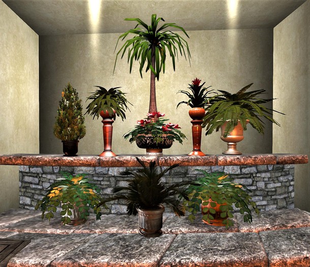 Second Life Marketplace - Potted Plants-8-COPY*RESIZE-BOXED