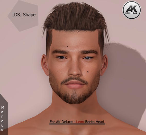 Second Life Marketplace - [DS] Marcus Male Shape - [AK Deluxe Men ...