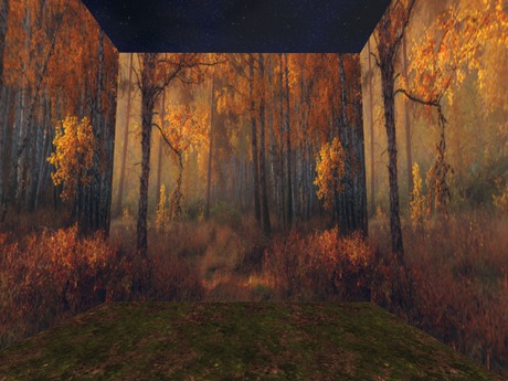 Second Life Marketplace - Skybox ~ Aspen Autumn Forest (Mesh)