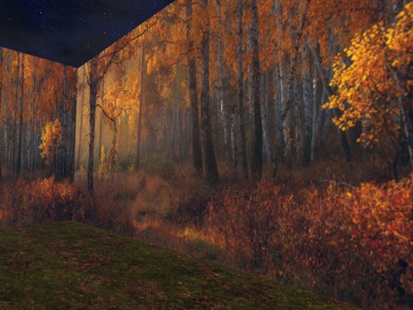 Second Life Marketplace - Skybox ~ Aspen Autumn Forest (Mesh)