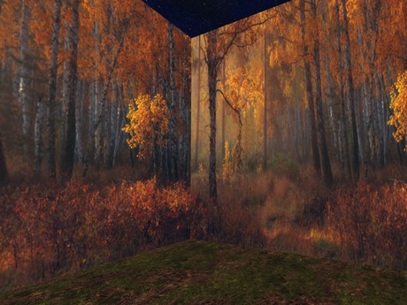Second Life Marketplace - Skybox ~ Aspen Autumn Forest (Mesh)