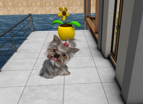 Second Life Marketplace - Dog