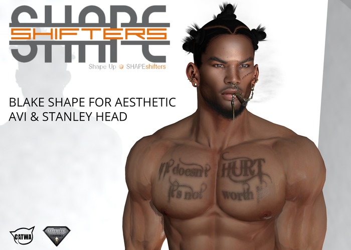 Second Life Marketplace - [SHAPEshifters] BLAKE SHAPE FOR AESTHETIC AVI ...