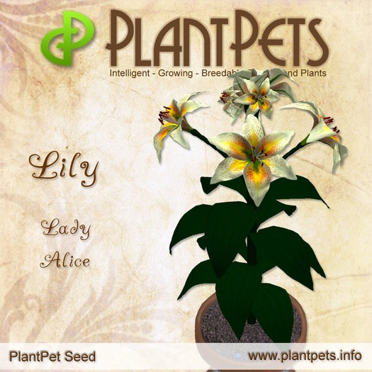 Second Life Marketplace - [UPDATED] PlantPet Seed [Lily *Lady Alice*]