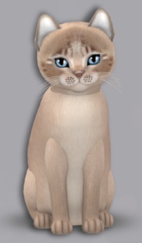 Second Life Marketplace - KittyCatS Box - 6T(9T)+1 Genesis Mocha Female ...