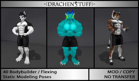 Second Life Marketplace - -:DrachenStuff:- 40 Static Bodybuilder Poses