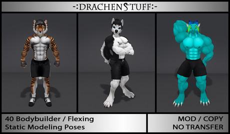 Second Life Marketplace - -:DrachenStuff:- 40 Static Bodybuilder Poses