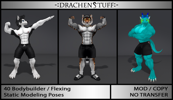 Second Life Marketplace - -:DrachenStuff:- 40 Static Bodybuilder Poses