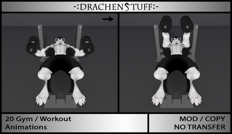 Second Life Marketplace - -:DrachenStuff:- 20 Gym / Workout Animations