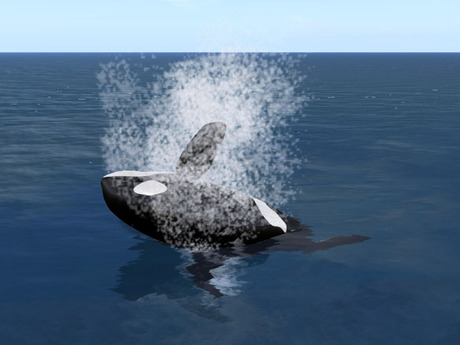 Second Life Marketplace - Orca Offsim! New!