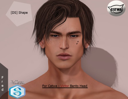 Second Life Marketplace - [DS] Fred Male Shape - Catwa Head Victor