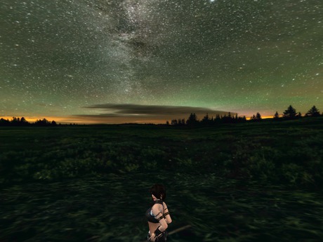 Second Life Marketplace - STARRY NIGHT MEADOW Skybox 1 Mesh Prim ...
