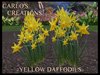 Second Life Marketplace - Yellow Daffodils Regular & 1 Prim Sculpt ...