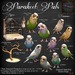 Second Life Marketplace - Hextraordinary | Parakeet Pal | Fancy Violet ...