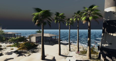 Second Life Marketplace - (Fundati) Palm Washingtonia