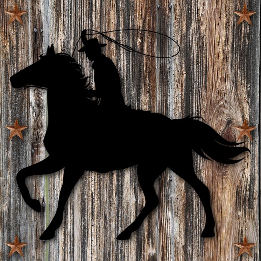 Second Life Marketplace - Wall Decor - Cowboy Lasso on Wood