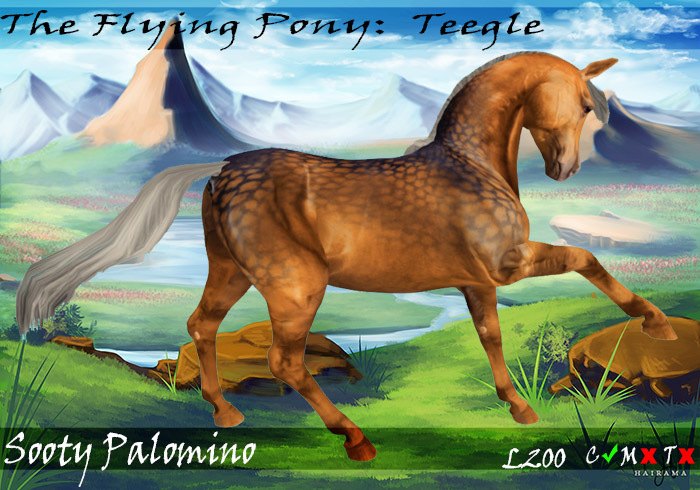 Second Life Marketplace - .:TFP:. Teegle- Sooty Palomino
