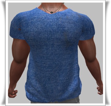 Second Life Marketplace - Mens T-Shirt Signature with Color HUD