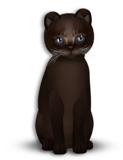 Second Life Marketplace - KittyCatS Box - {M} 8T Abyssinian Dark ...