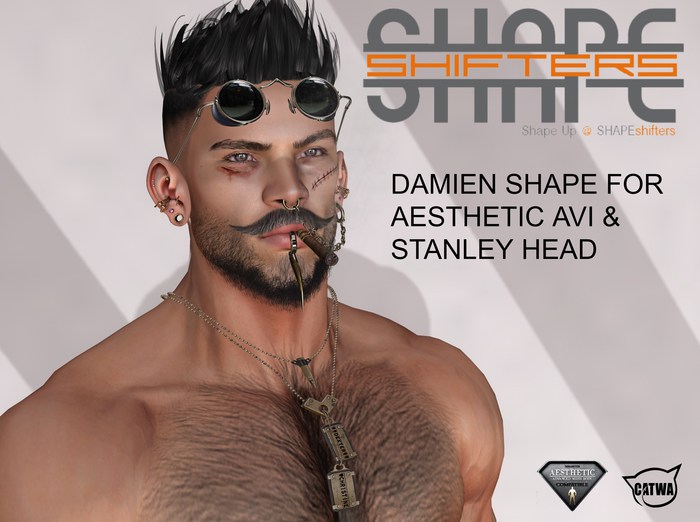 Second Life Marketplace - [SHAPEshifters] DAMIEN SHAPE FOR AESTHETIC ...