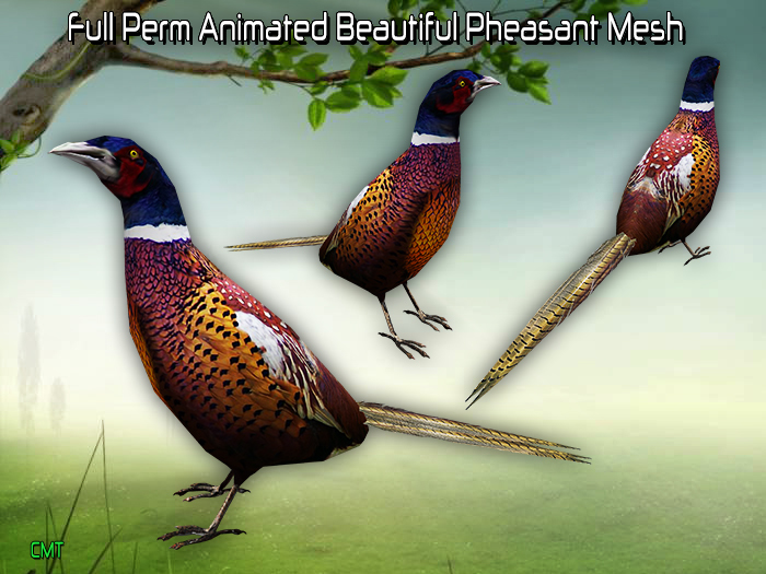 Second Life Marketplace - Full Perm Animated Standing Ring Necked ...