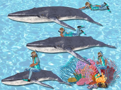 Second Life Marketplace - Sea Life blue wetsuit fitmesh, ride lay and ...