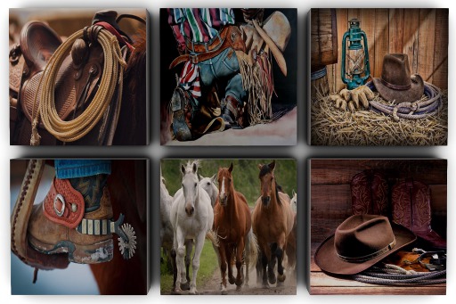Second Life Marketplace - Wall Decor - Cowboy Six (MESH)