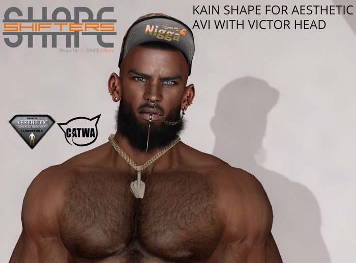 Second Life Marketplace - [SHAPEshifters] KAIN SHAPE FOR AESTHETIC AVI ...