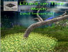 Second Life Marketplace - Lizard on Tree