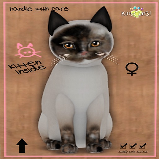 Second Life Marketplace - KittyCatS Box - Siamese Chocolate Tortie Foxie ears! Female