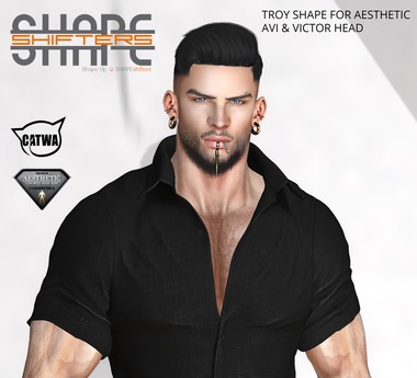 Second Life Marketplace - [SHAPEshifters] TROY SHAPE FOR AESTHETIC AVI ...
