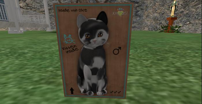 Second Life Marketplace - KittyCatS Box - New Born Kitten 12