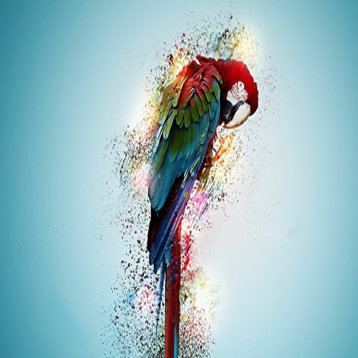 Second Life Marketplace - Digital Parrot