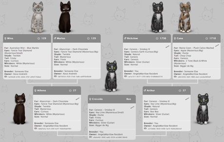 Second Life Marketplace - KittyCatS Box - New Born Kitten - Cressida