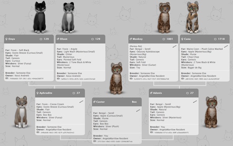 Second Life Marketplace - KittyCatS Box - New Born Kitten - Castor