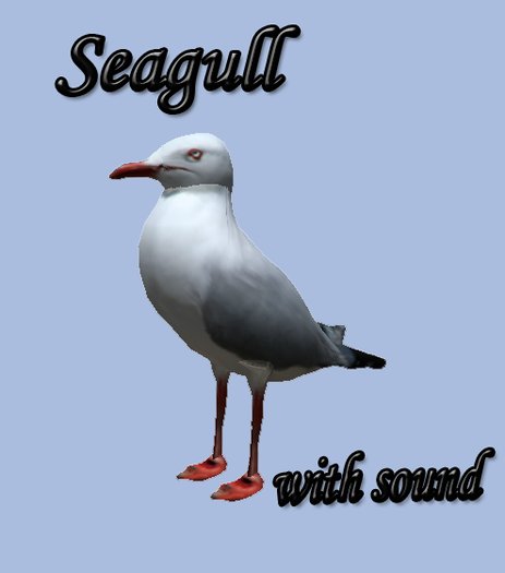 Second Life Marketplace - Seagull with sound boxed