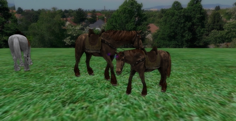 Second Life Marketplace - .:GBH:. Wanderer black horse set -mesh-