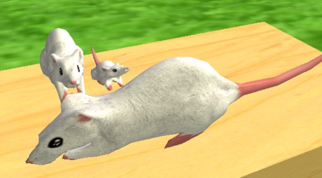 Second Life Marketplace - Three White Mouse