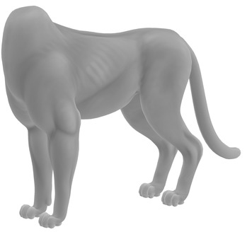 Second Life Marketplace - Snode - Red Remora Felitaur Shader PSD