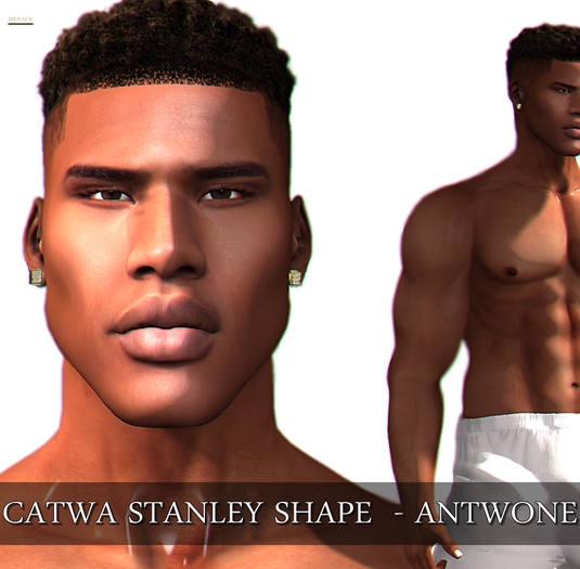 Second Life Marketplace - Catwa Stanley - Shape Antwone (RARE)
