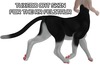 Second Life Marketplace - SNODE - Tuxedo Felitaur Skin